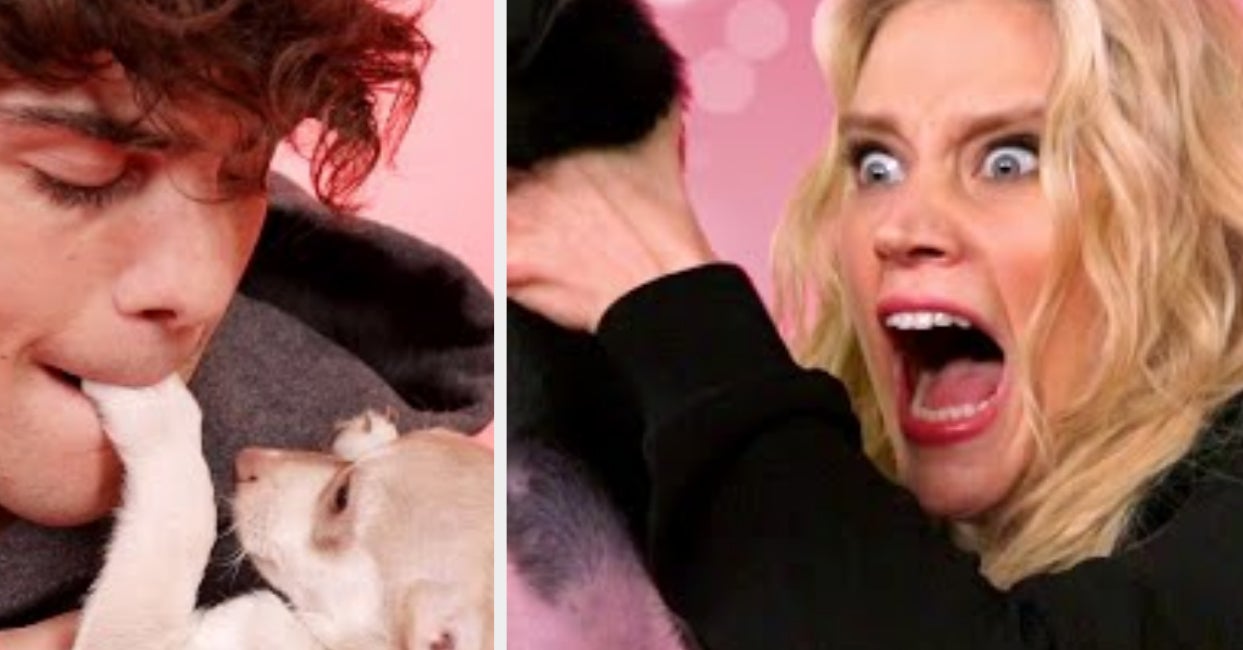 Celebrity Puppy Interviews Ranked By Cuteness