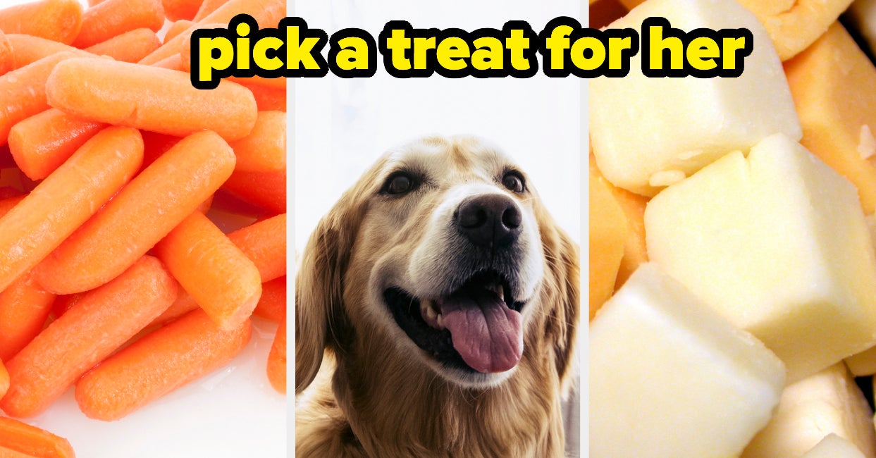 Give Dogs Treats To Predict Your Relationship Style