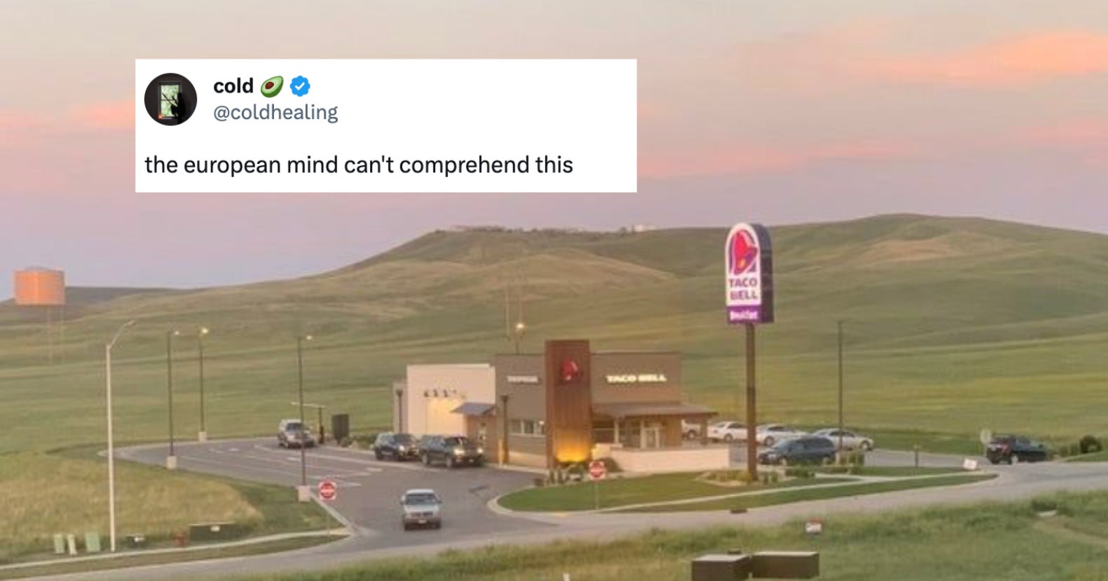 The Funniest European Mind Can't Comprehend Memes