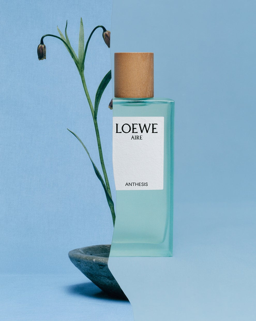 LOEWE Unveils New Unisex Fragrance | Complex