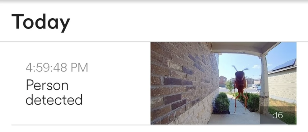 27 Creepy Photos I Feel Like I Wasn't Supposed To See Halloween Reddit