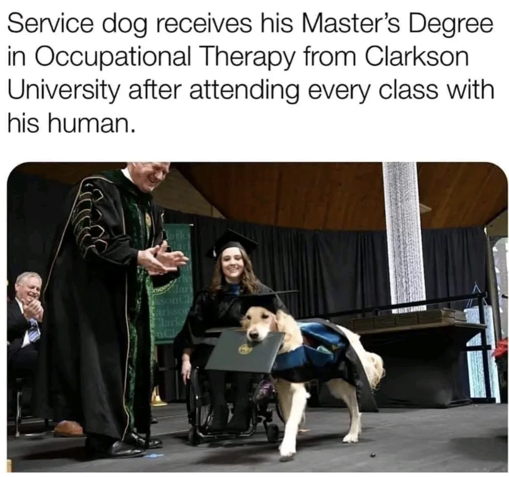 21 Cute Dog Pictures