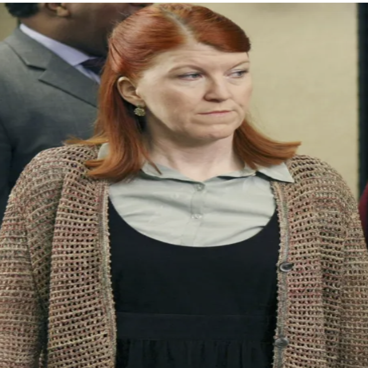 The Office Reboot Recasting