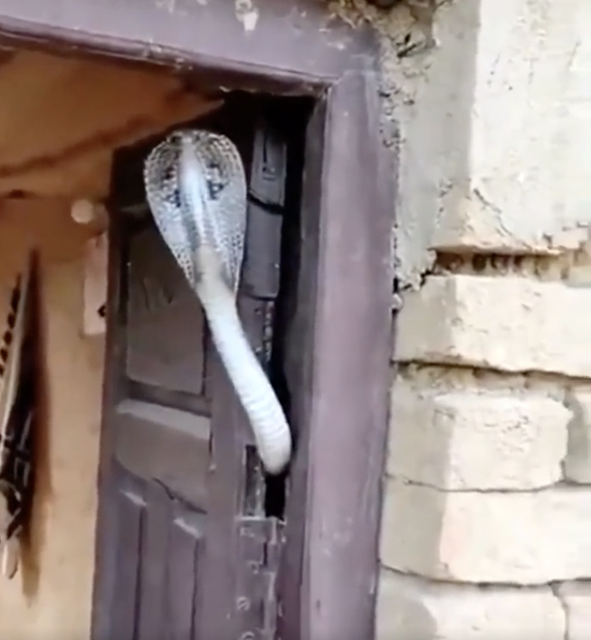 35 Moms And Dads Who Just Can't Seem To Get A Break