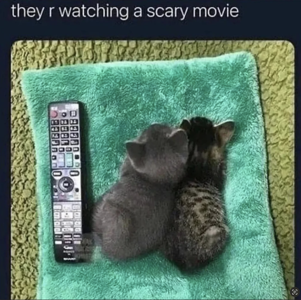 19 Cute Relationship Memes