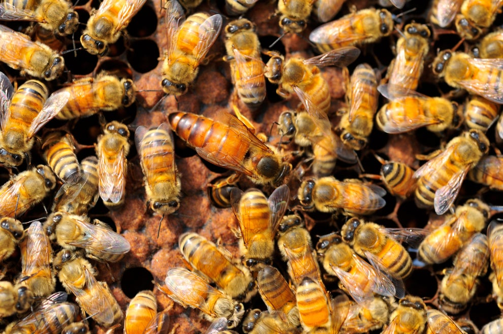 39 Creepy Recurring Dreams People Have