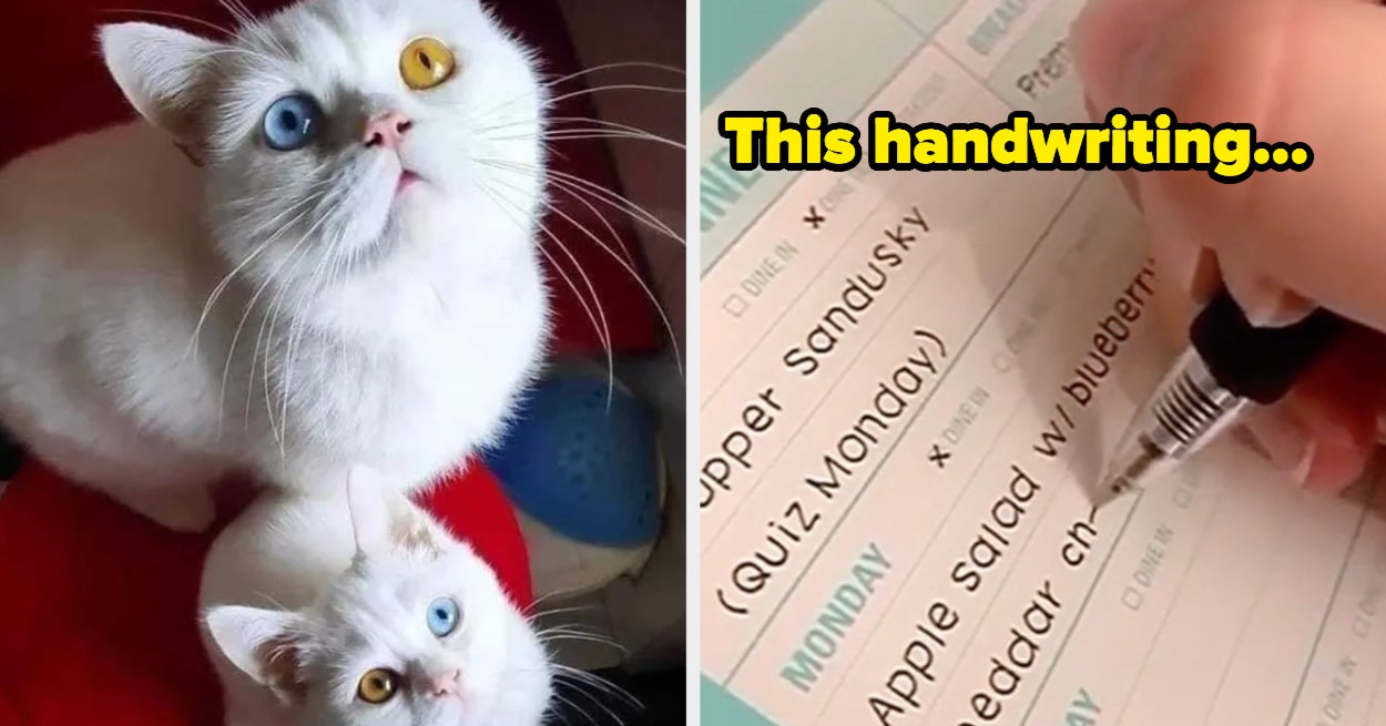 14 Perfect Satisfying Photos That'll Make You Go Unfff