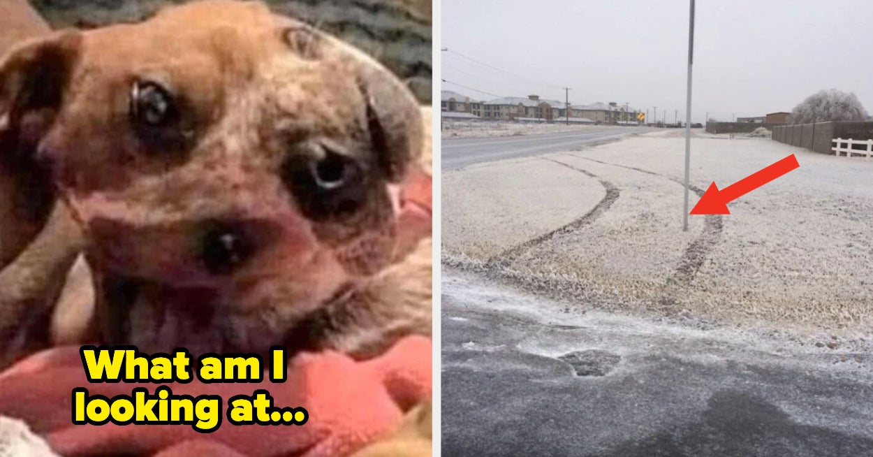 17 Confusing Brain-Breaking Photos