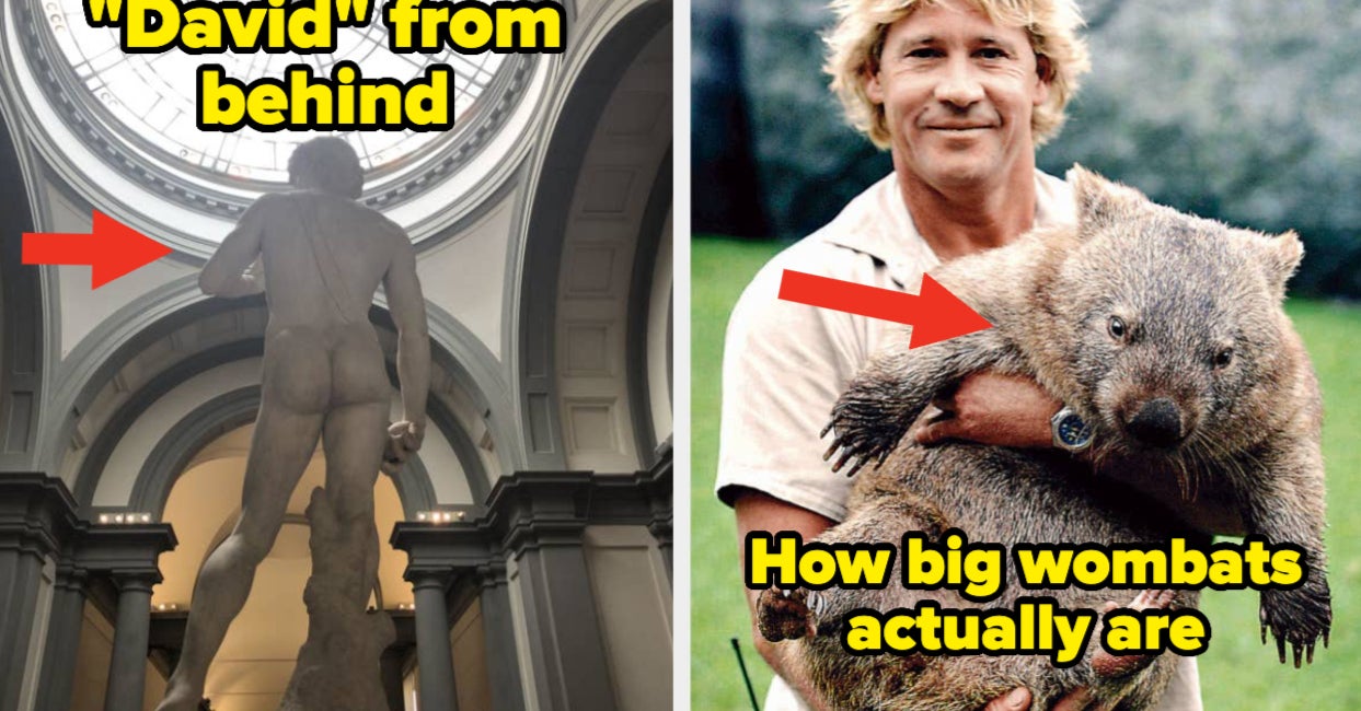 89 Mind-Blowing Facts That Sound Absolutely Ridiculous But Are Actually ...