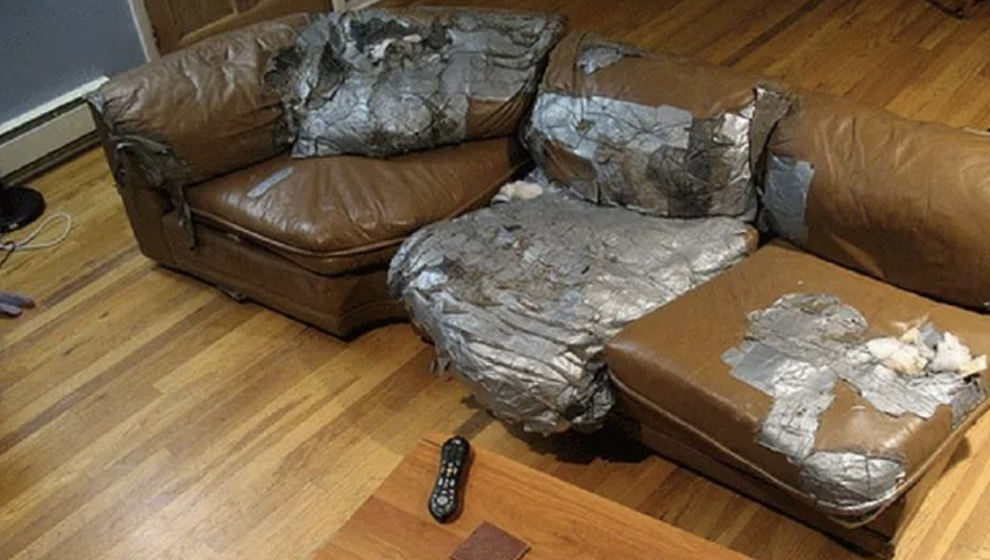 17 Photos Of DIY Disasters