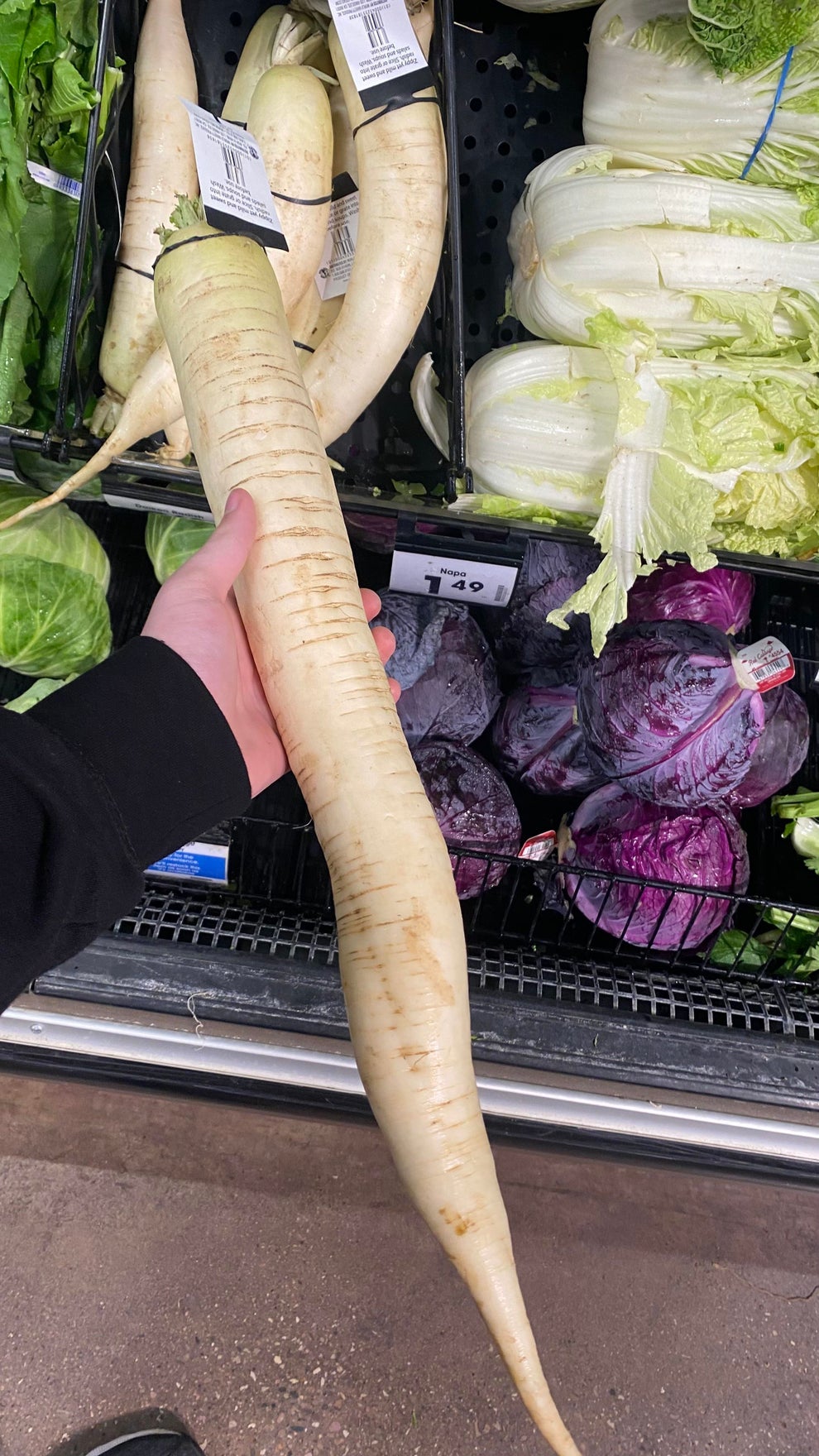 17 Preposterously Large Vegetables