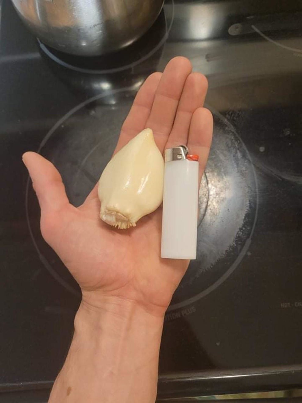 17 Preposterously Large Vegetables