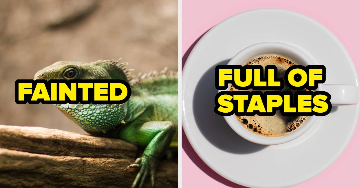 Reddit Shares Unbelievable Class Clown Stories