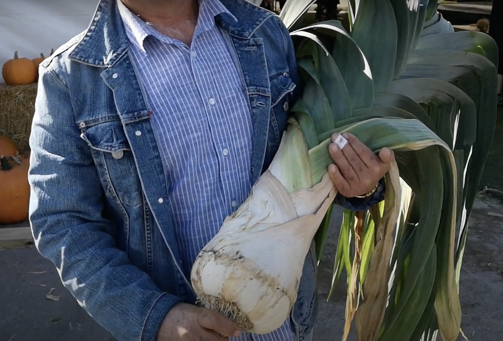 17 Preposterously Large Vegetables