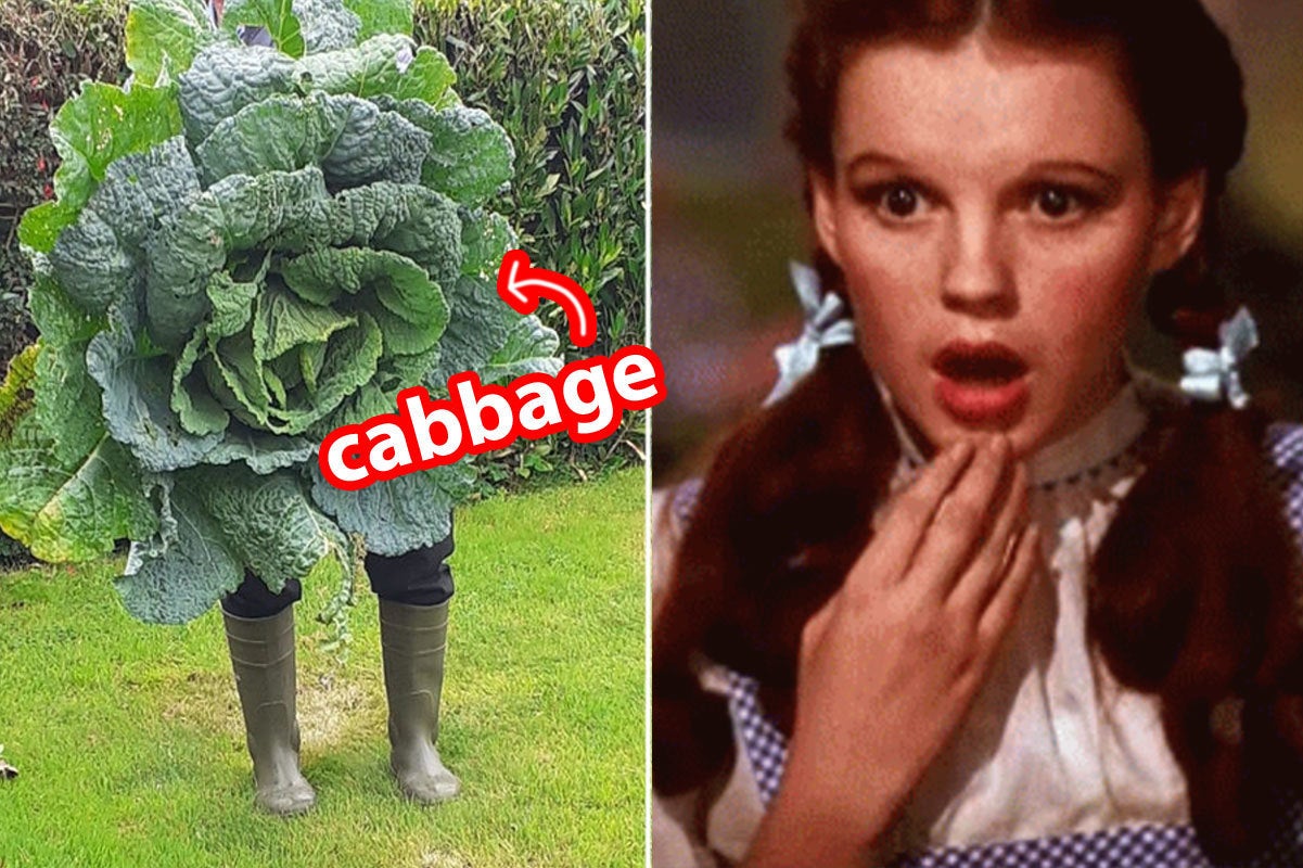 17 Pictures Of Fruits And Veggies I Swear Are Bigger Than My Six Month 17 Pictures Of Fruits And Veggies I Swear Are Bigger Than My Six Month