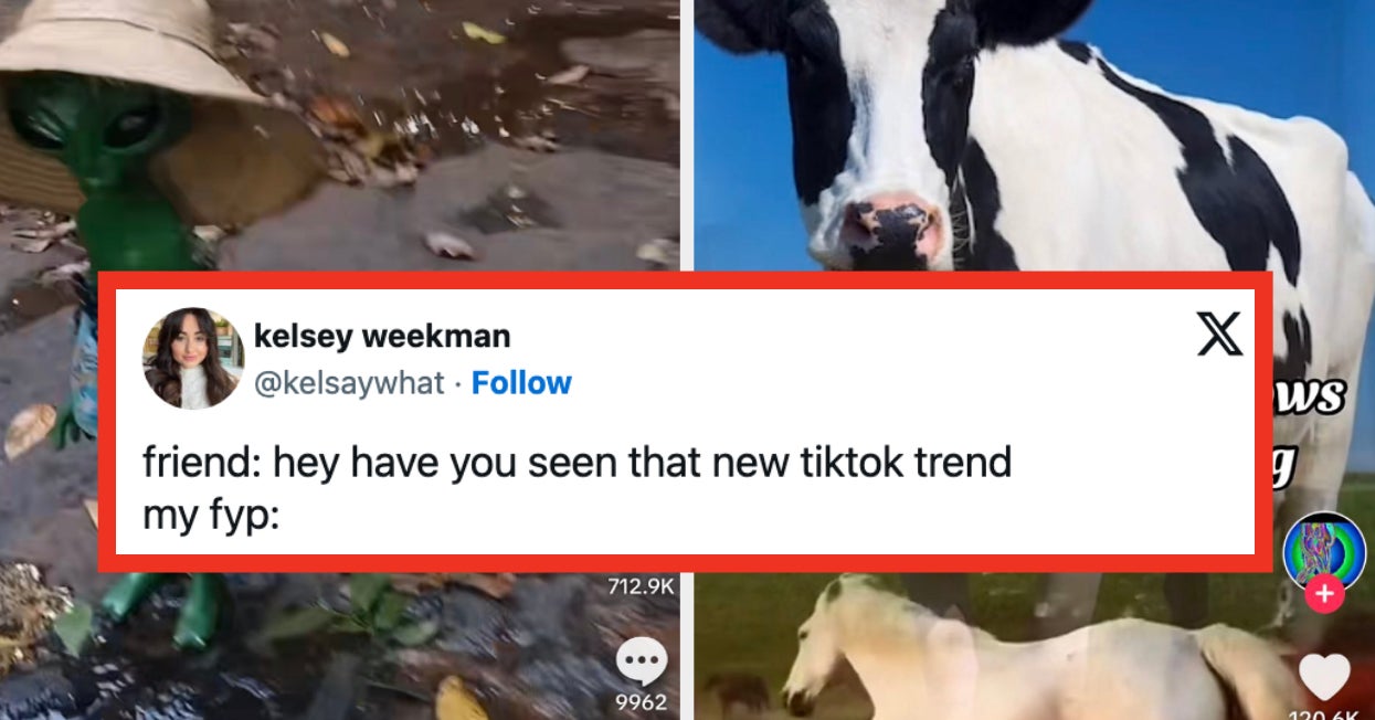 14 Hilarious Internet Fails From This Week