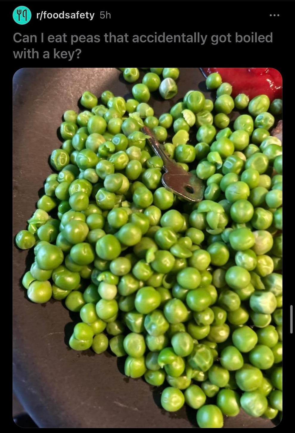 50 Pictures That Literally Never Fail To Make Me Laugh Uncontrollably ...