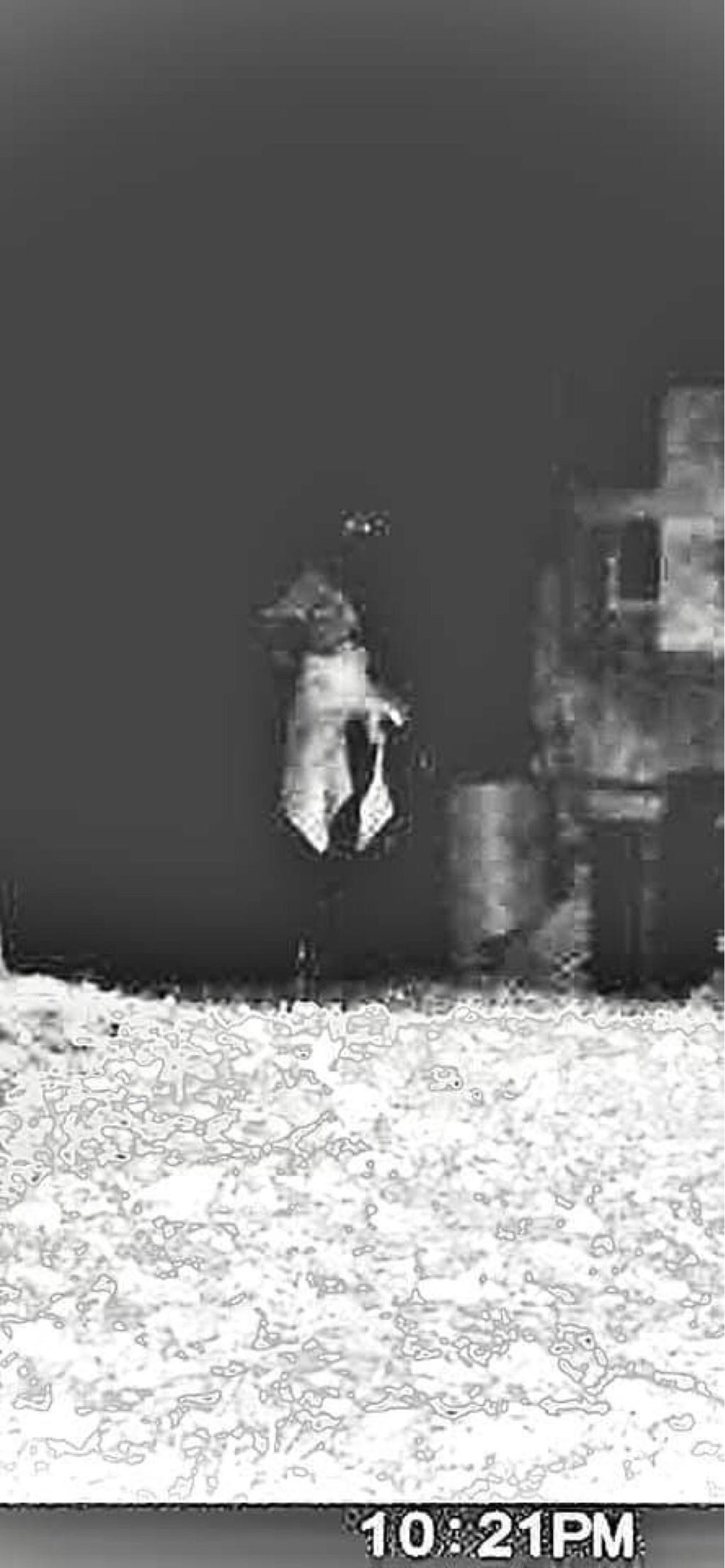 16 Creepy Doorbell Cam Photos