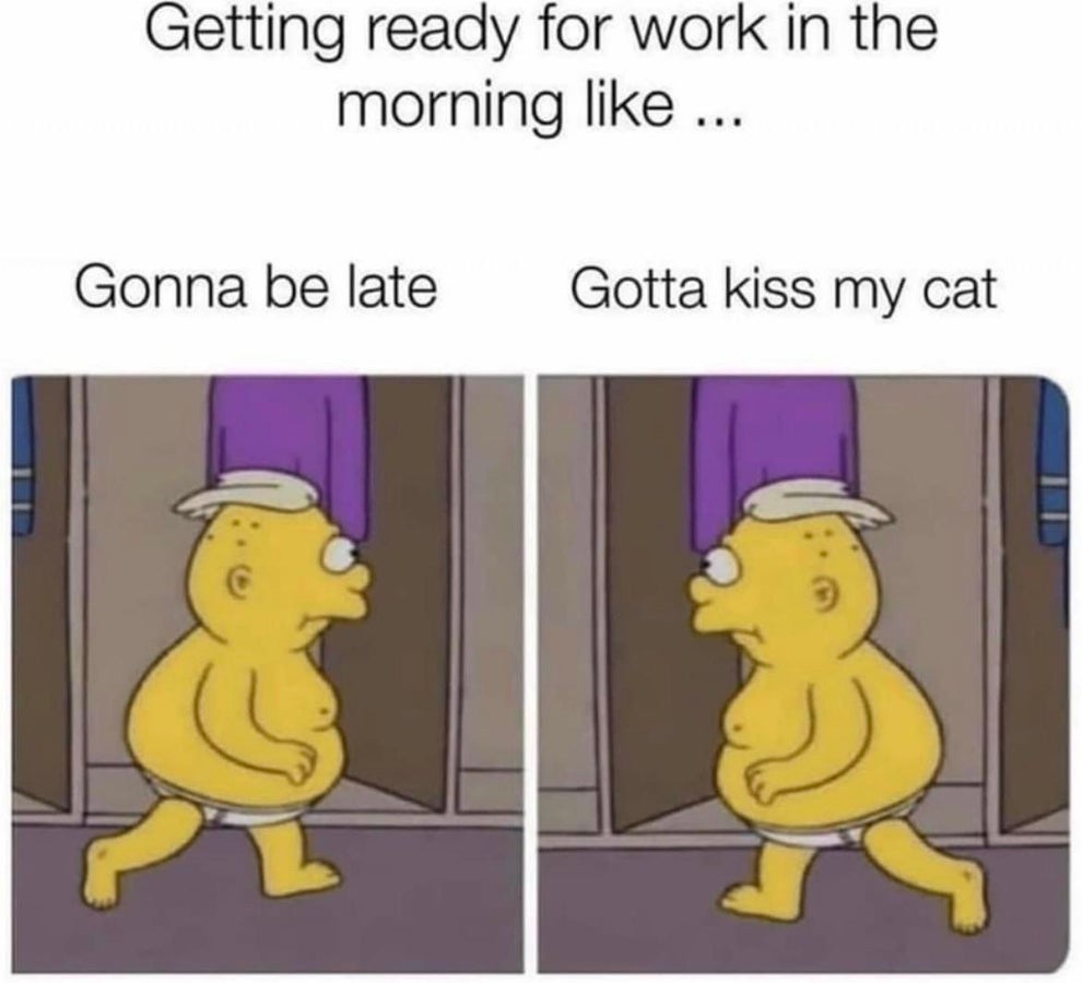 19 Funny Memes To Make Your Day