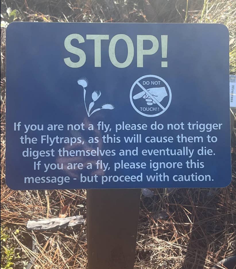 funny sign interpretations