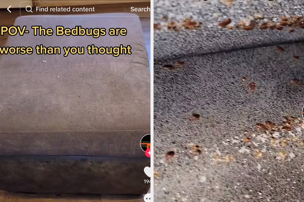 What An Exterminator Says You Need To Know About Bed Bugs