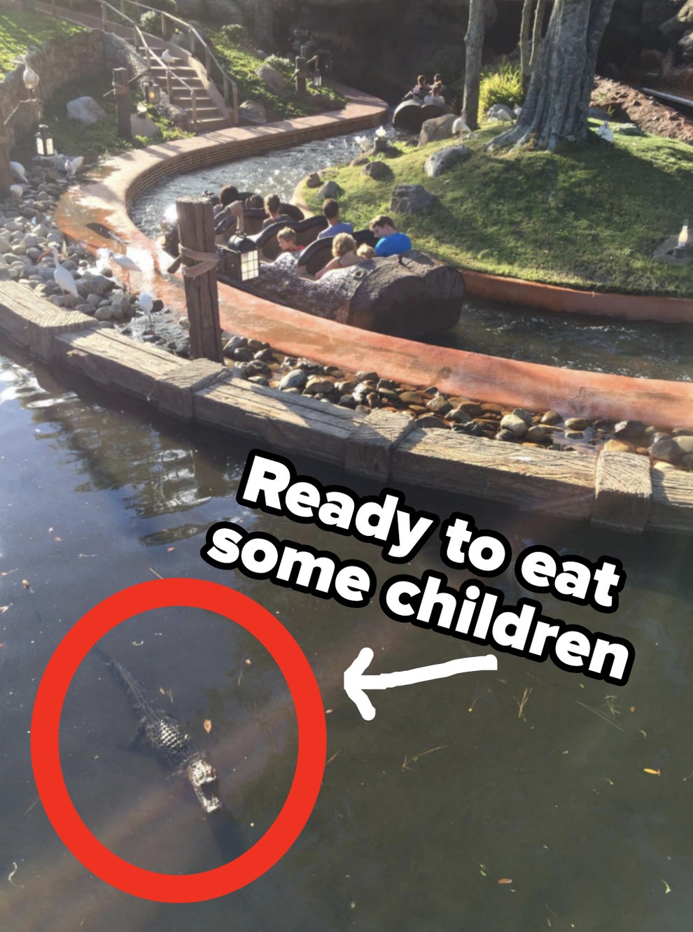 37 Weird, Unsettling Photos