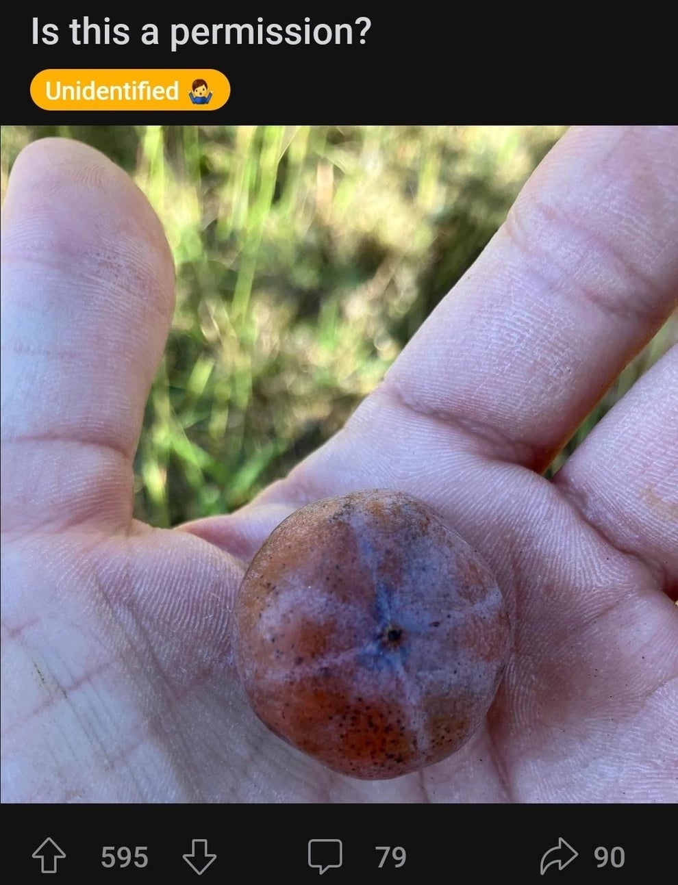 Help, I Can't Stop Laughing At These 20 Extremely Dumb Things People ...