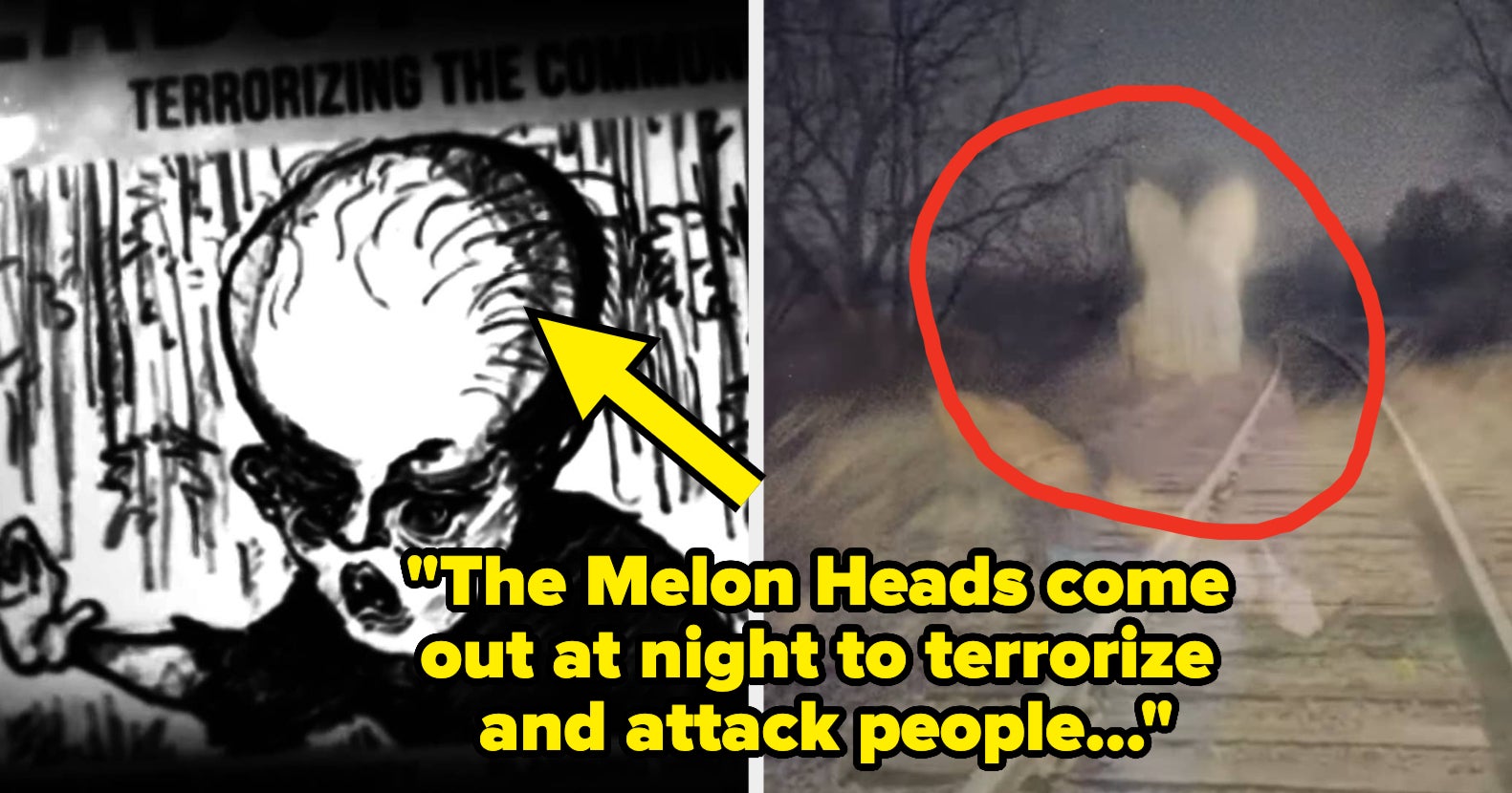 Scary But True Urban Legends