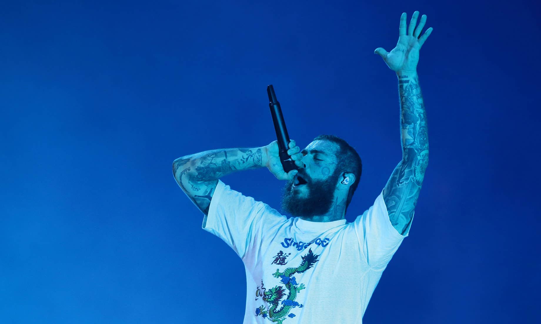 Post Malone Nearly Lost $600,000 Diamond Down the Drain While Eating ...