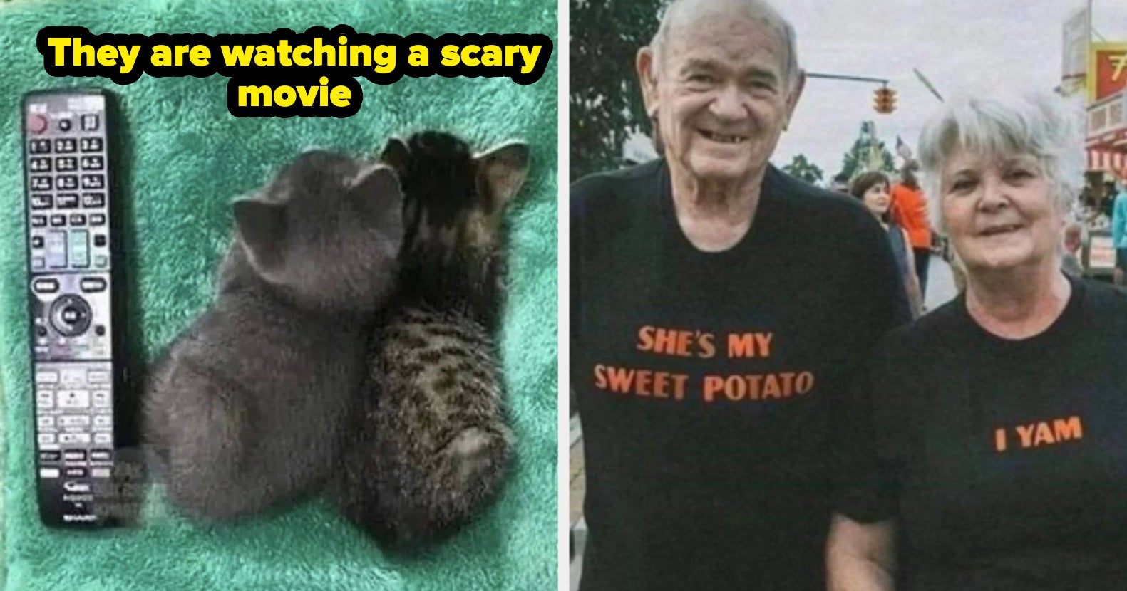 19 Cute Relationship Memes