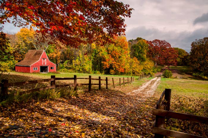 10 Destinations Perfect For Your Fall Getaway