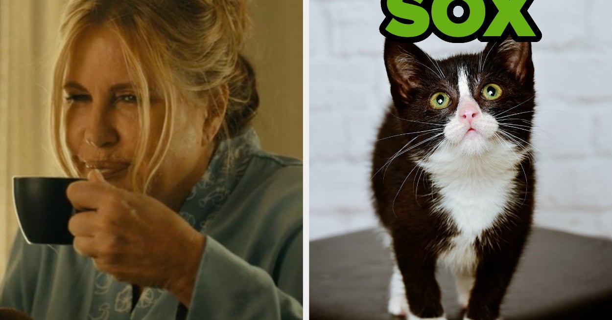 Make Cat Café Get Cat To Adopt Quiz