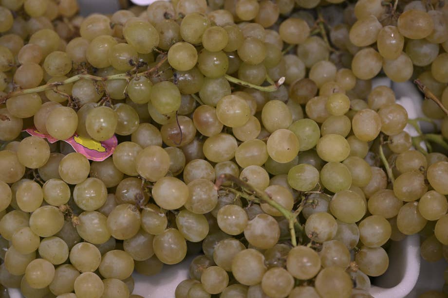Black Widow Spider Found Moving In Package Of Grapes In Viral Video ...