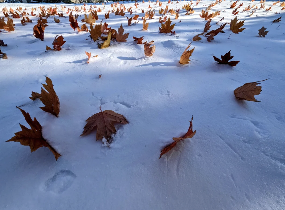 28 Photos That Prove Nothing Is Real