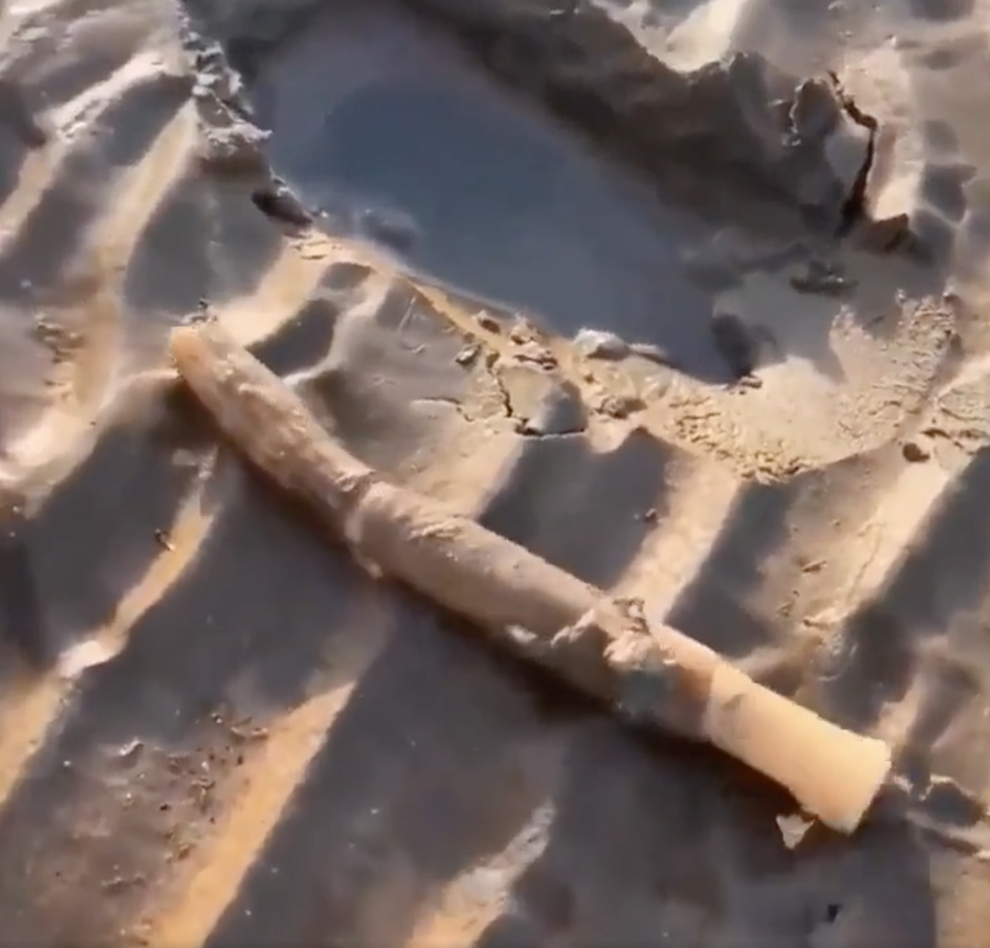 15 Ominous Photos That Made The Hair On My Neck Stand Up