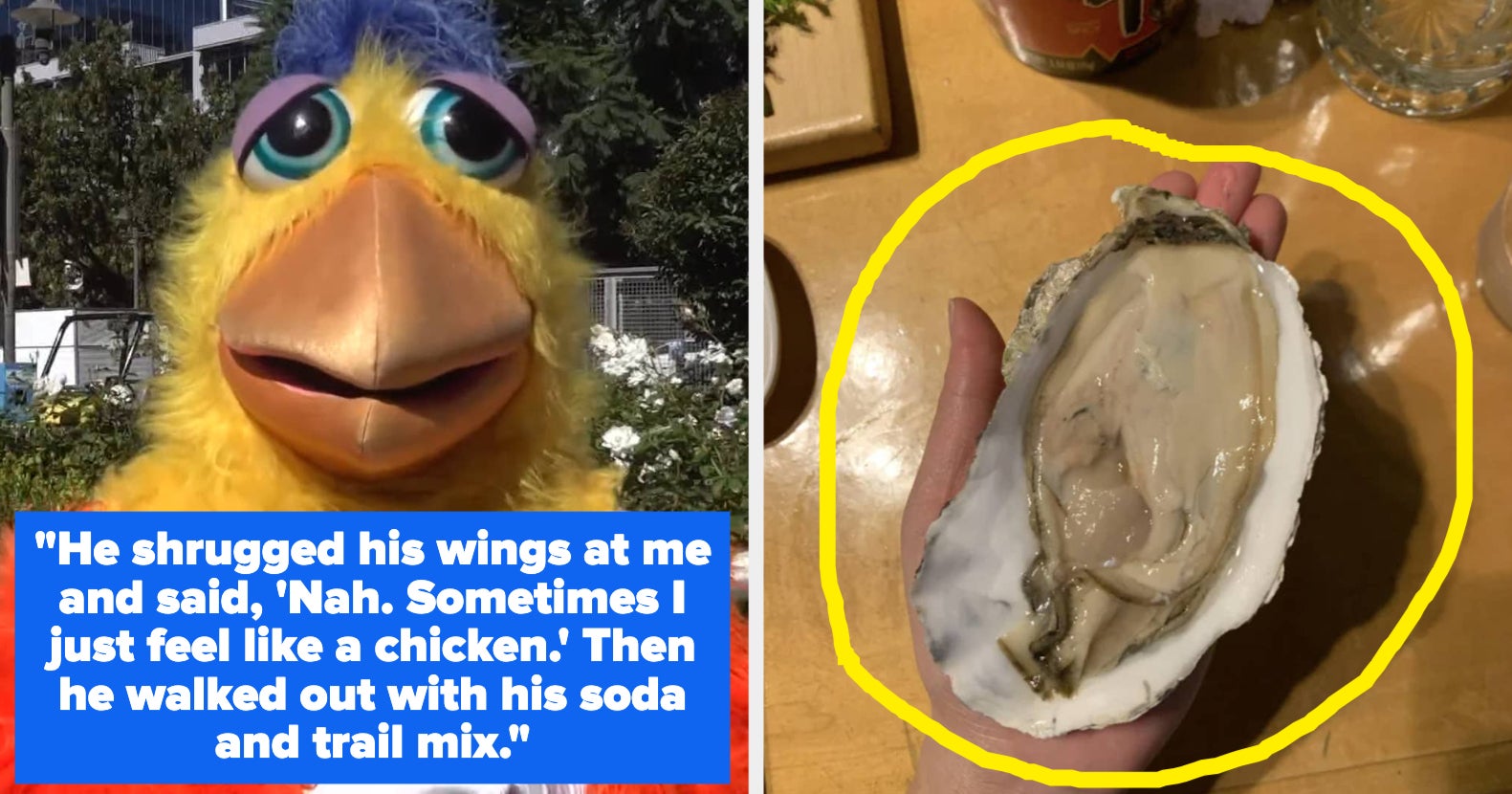 21 Stories Of Inexplicably Bizarre Things People Witnessed
