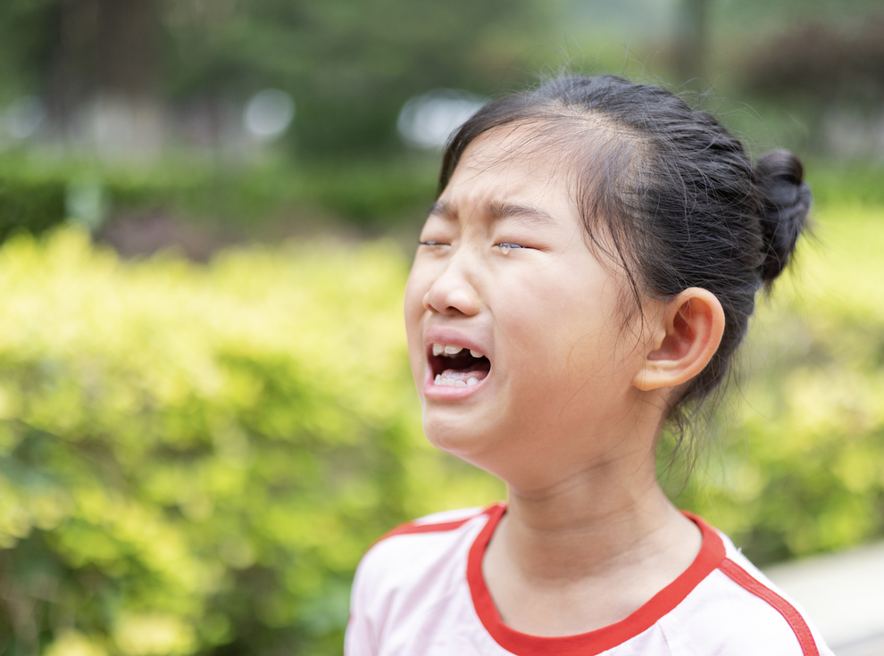 Mom Allowed Daughter To Ride Her Pony To School And Is Receiving Backlash