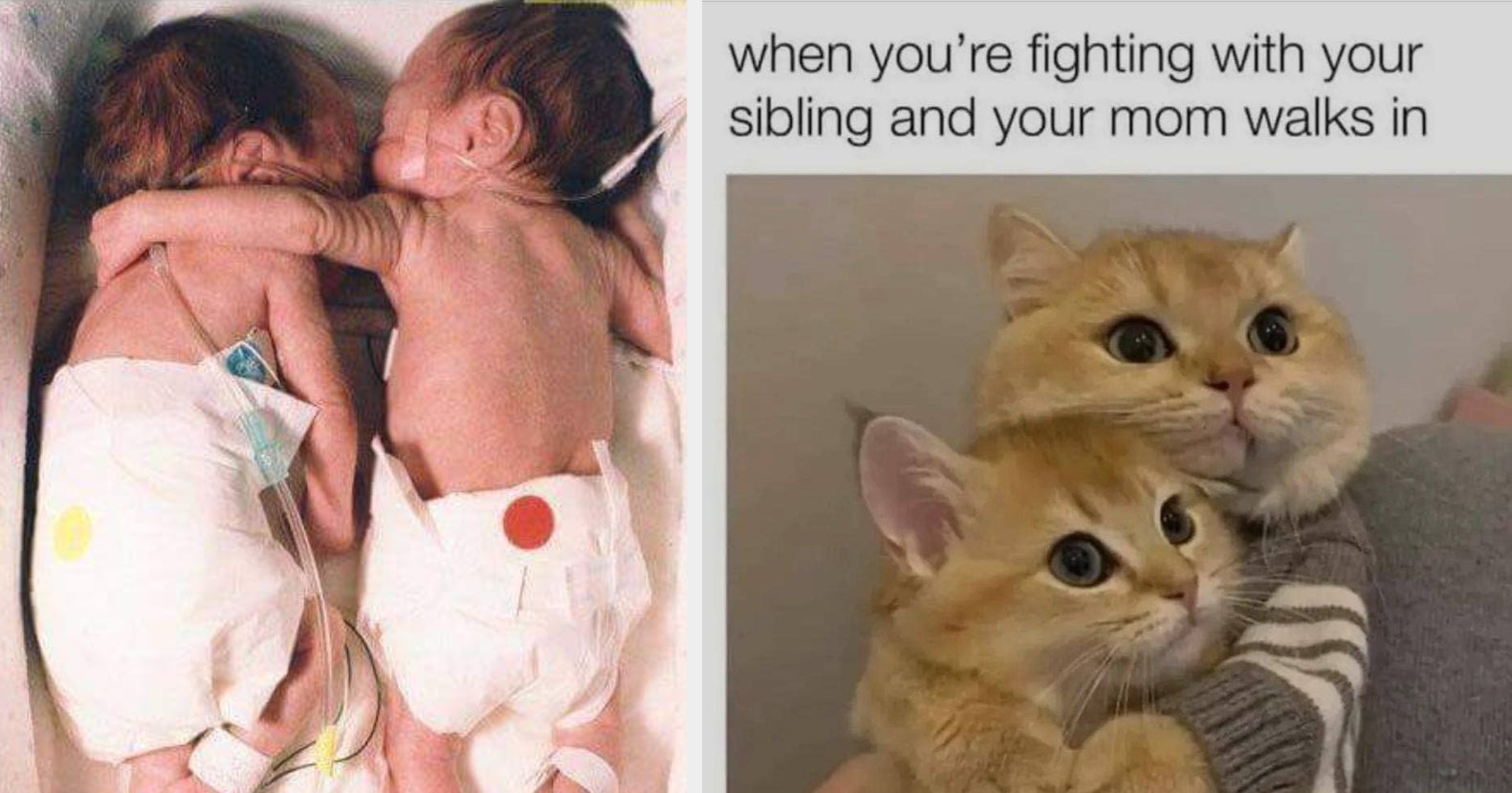 Sibling Fighting Memes