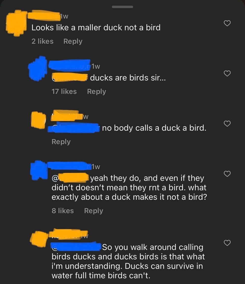 Words Can't Describe How Worried I Am For Humanity After Reading These ...