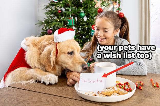 Deck The Paws — Unwrap PetSmart’s Holiday Must-Haves For Every Pet This ...