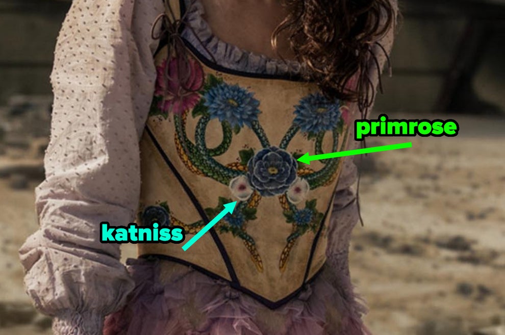 The Hunger Games References In The Ballad Of Songbirds And Snakes