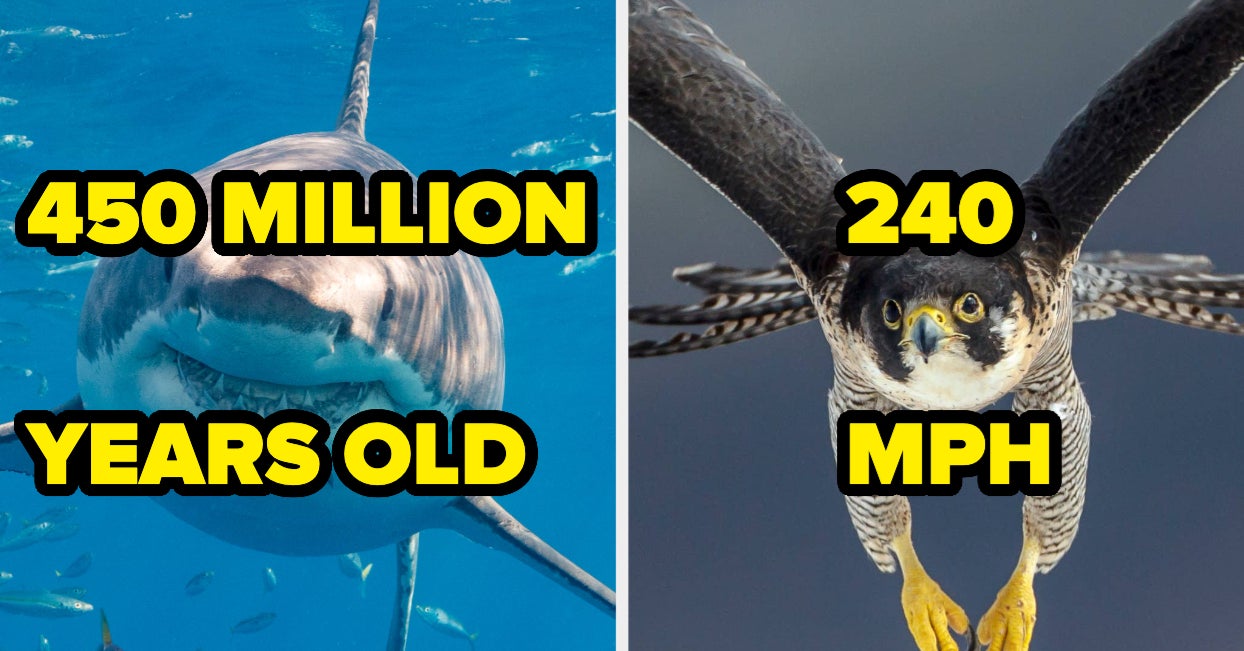 Reddit Shares Fascinating Random Facts