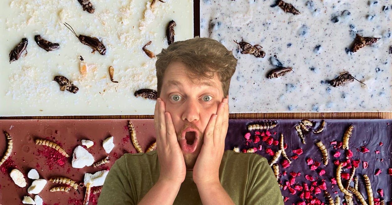 I Ate Insects For Four Months — Here's Why