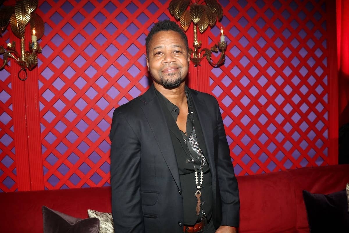 Cuba Gooding Jr Faces Two New Sexual Assault Lawsuits Before New York Adult Survivors Law