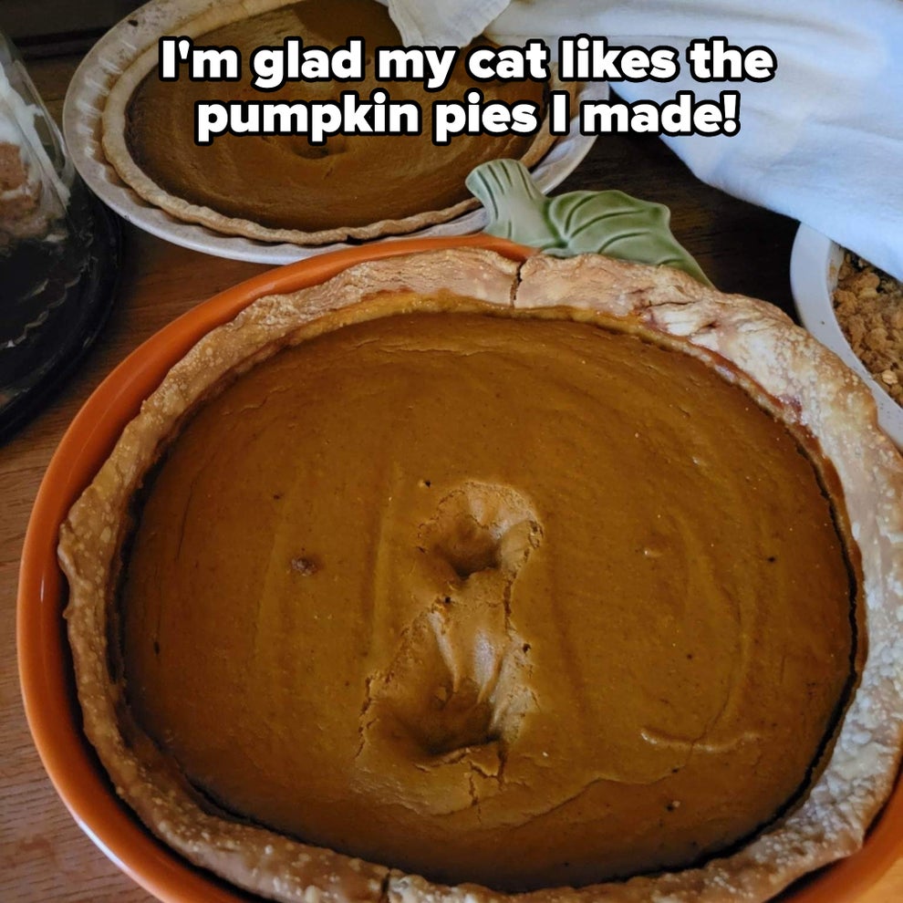 60 Poor Souls Who Just Had A Way, Way, Way, Way, Way, Way, Way, Way ...