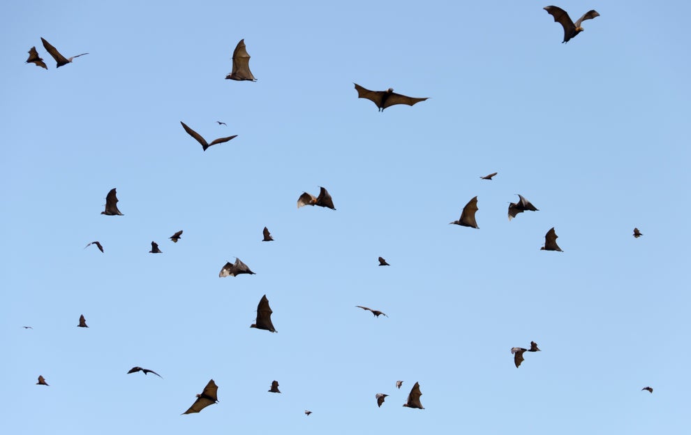 Reddit Shares Weird Jobs That Pay Surprisingly Well