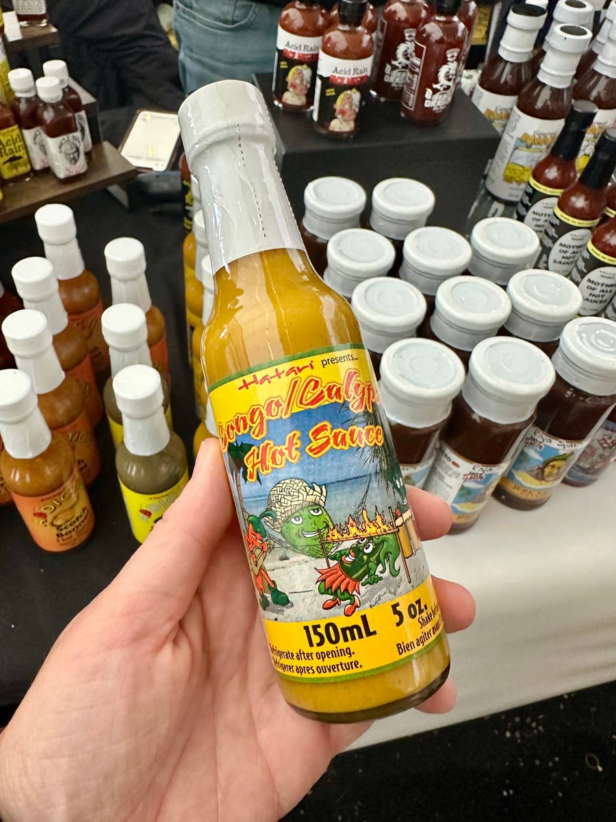 calypso drink lizard