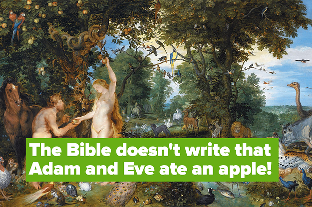 15 Common Misconceptions That Have Left Me Questioning Everything I Know