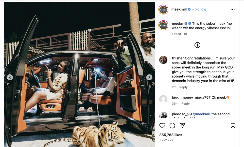 Photo of Meek Mill Holding Hands With Monkey and Looking Confused Has ...