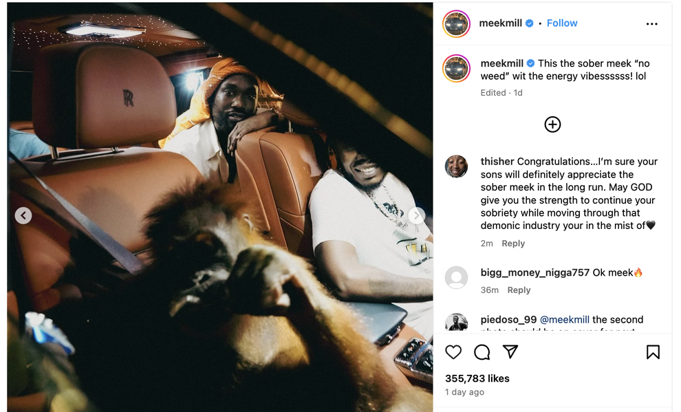 Photo of Meek Mill Holding Hands With Monkey and Looking Confused Has ...